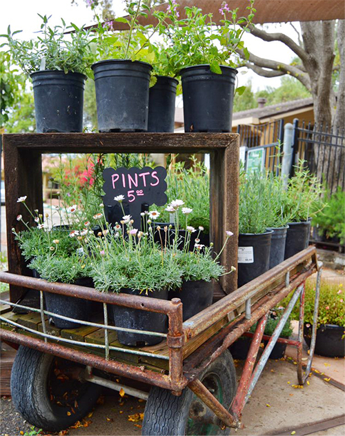 PLSC Major and Minors - Plant Sciences - Cal Poly, San Luis Obispo